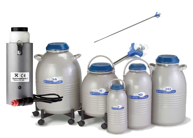 Arhive Accesorii - Material Seminal Tauri Semtest-BVN (MSC)